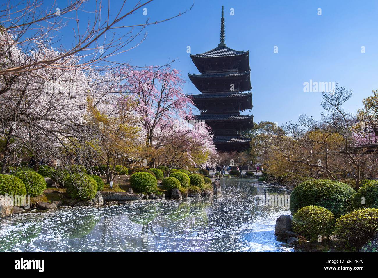 Toji temple hi-res stock photography and images - Alamy