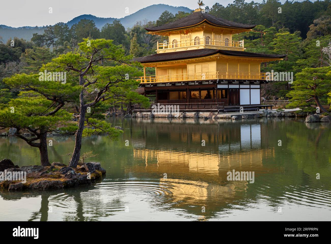 Kinkakuji (Golden Pavilion) - Temple building covered in gold Stock ...