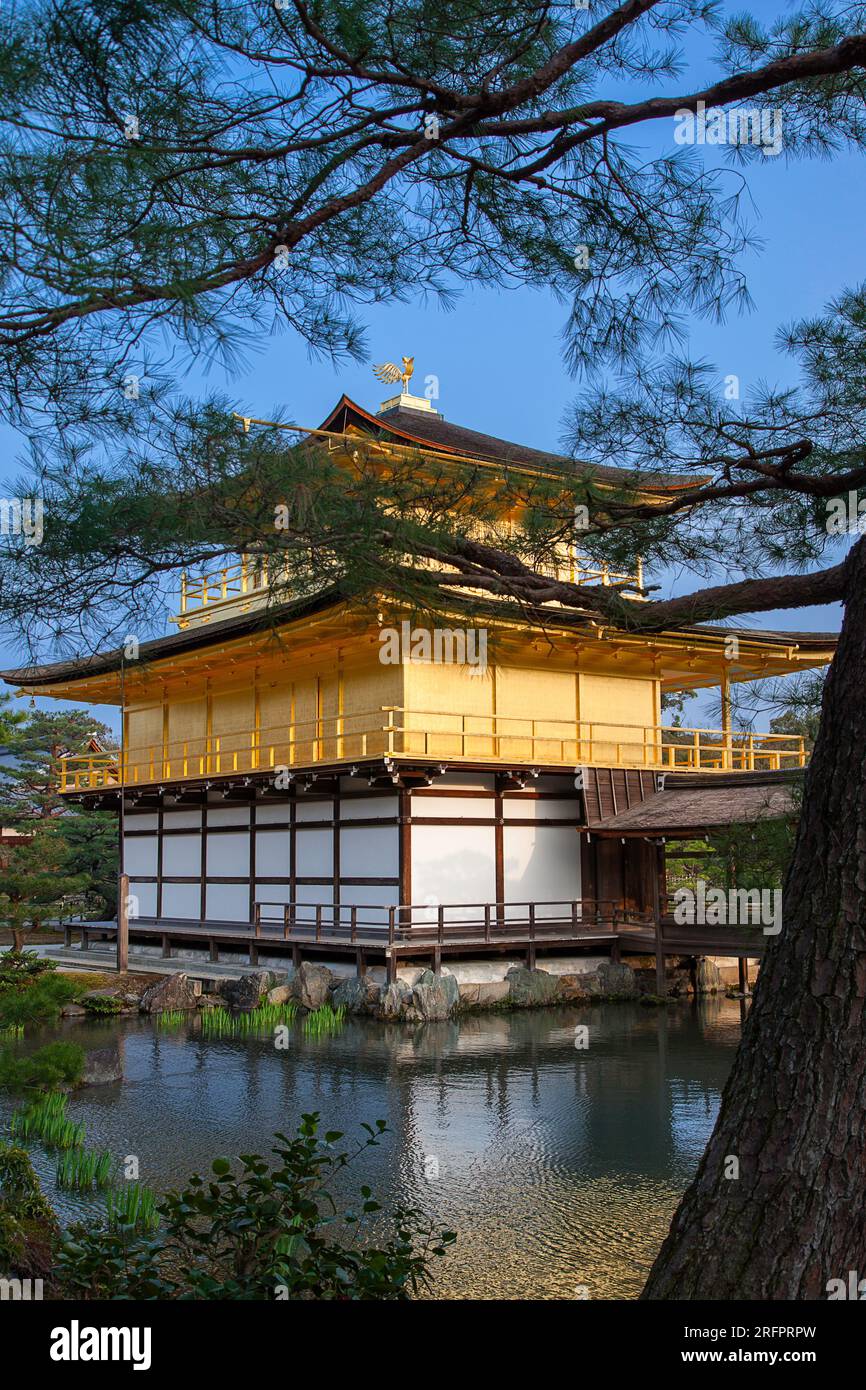 Kinkakuji (Golden Pavilion) - Temple building covered in gold Stock ...