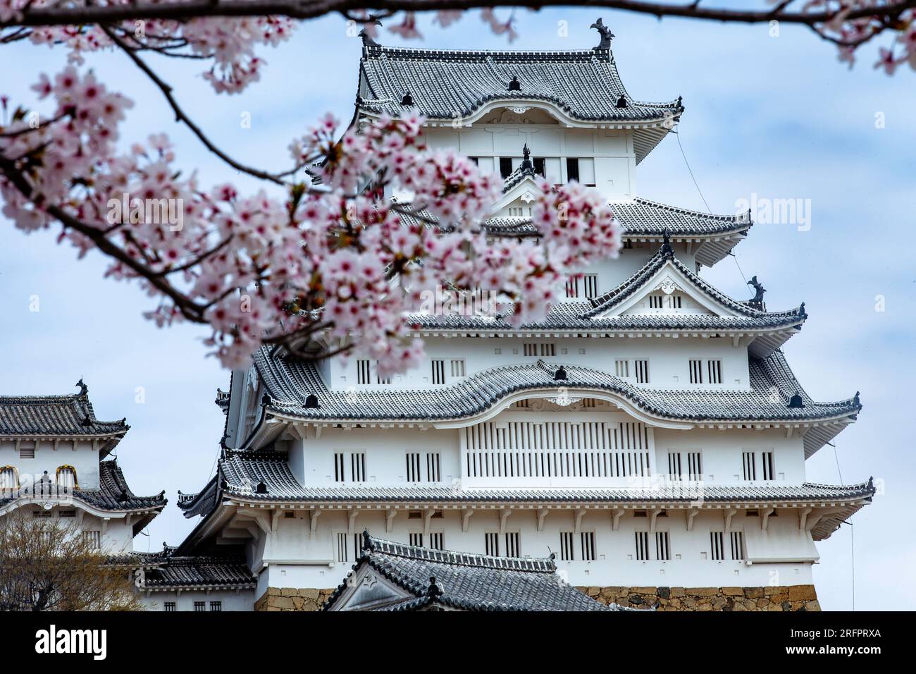 The iconic landmark sits atop a hill that's visible from JR Himeji ...