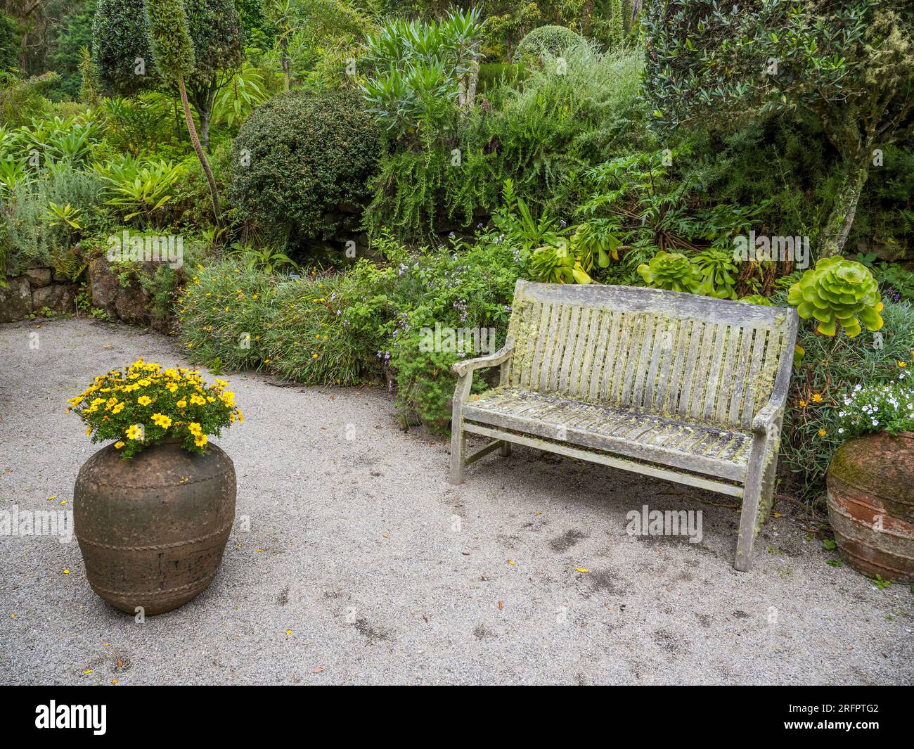 Tresco abby garden hi-res stock photography and images - Alamy