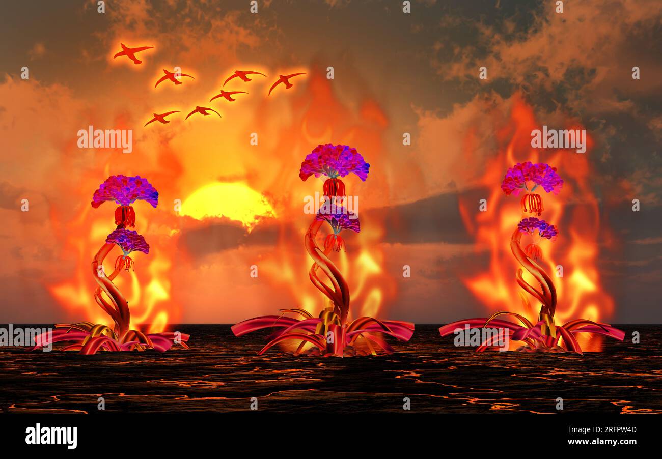 Fire adaptations hi-res stock photography and images - Alamy