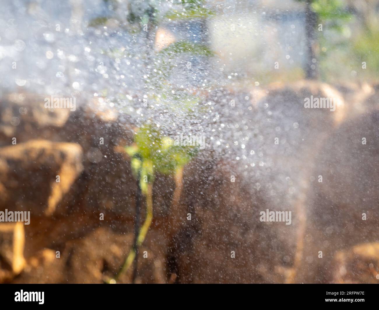 Hosing the garden hi-res stock photography and images - Alamy