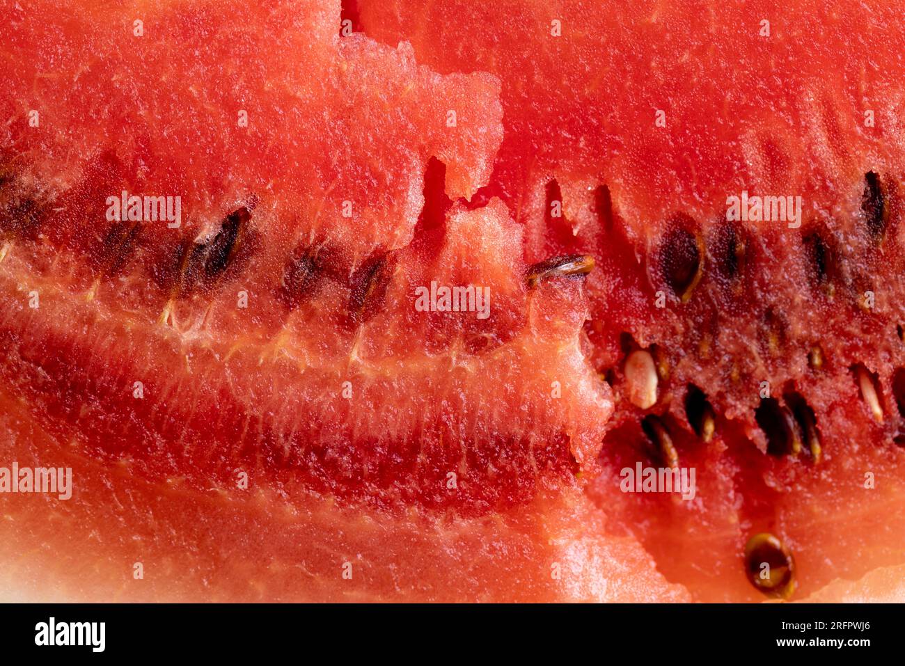 A cut piece of ripe red watermelon with seeds, winter varieties of red ...