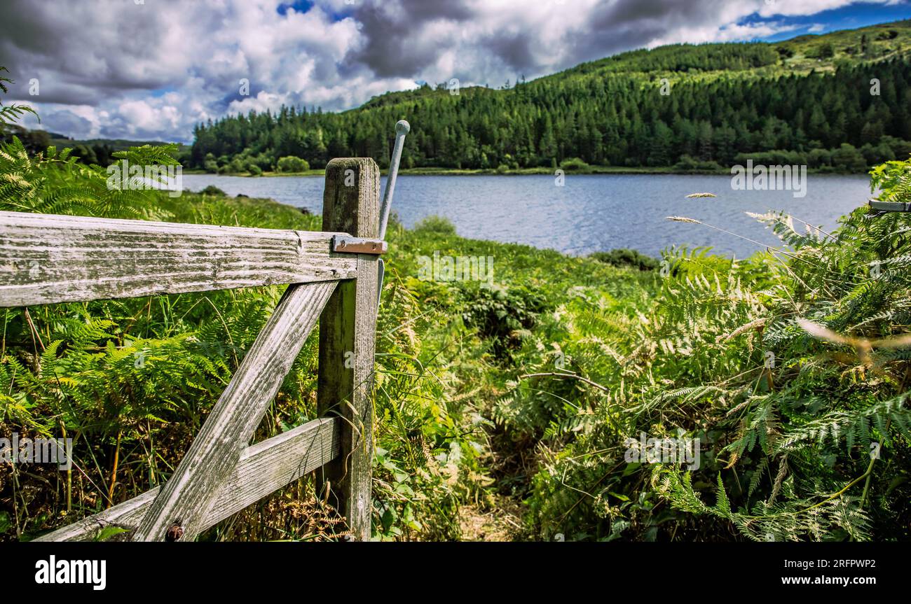 Inviting entrance through wooden gate into green valley at a lakeside ...