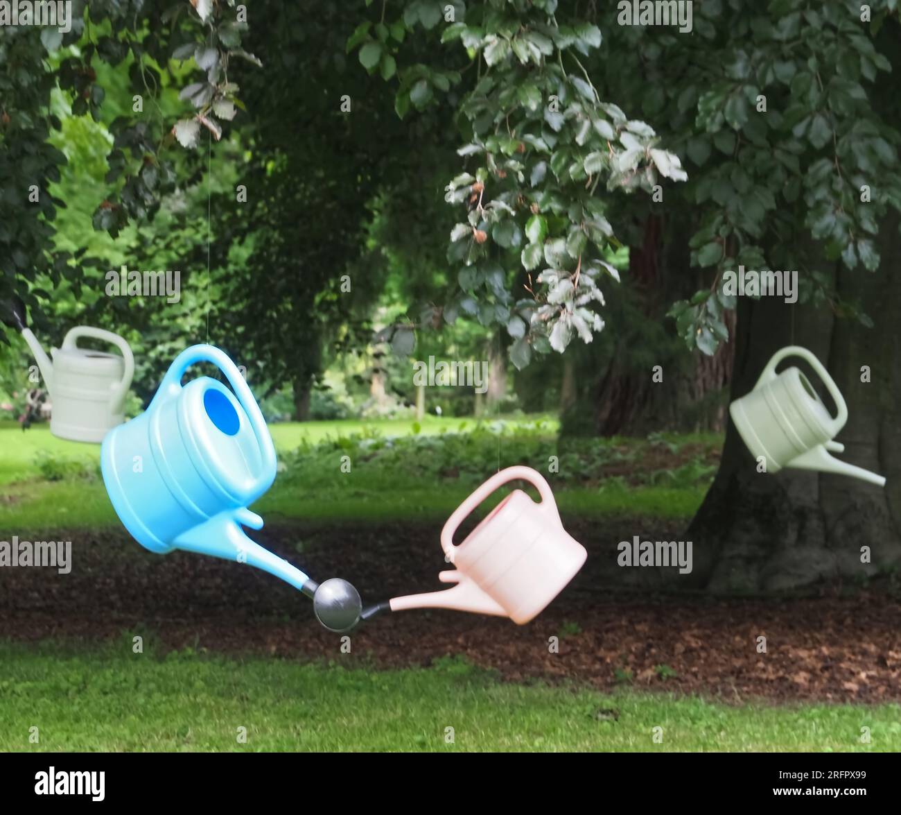 watering cans hang from a tree over a lawn to symbolize the scarcity of ...
