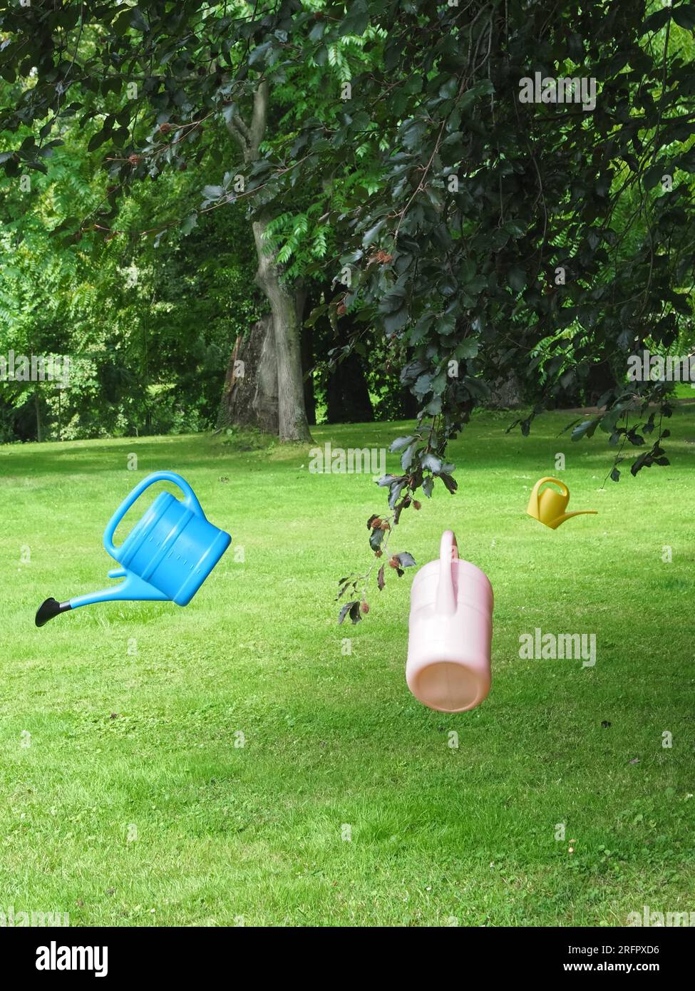 watering cans hang from a tree over a lawn to symbolize the scarcity of ...
