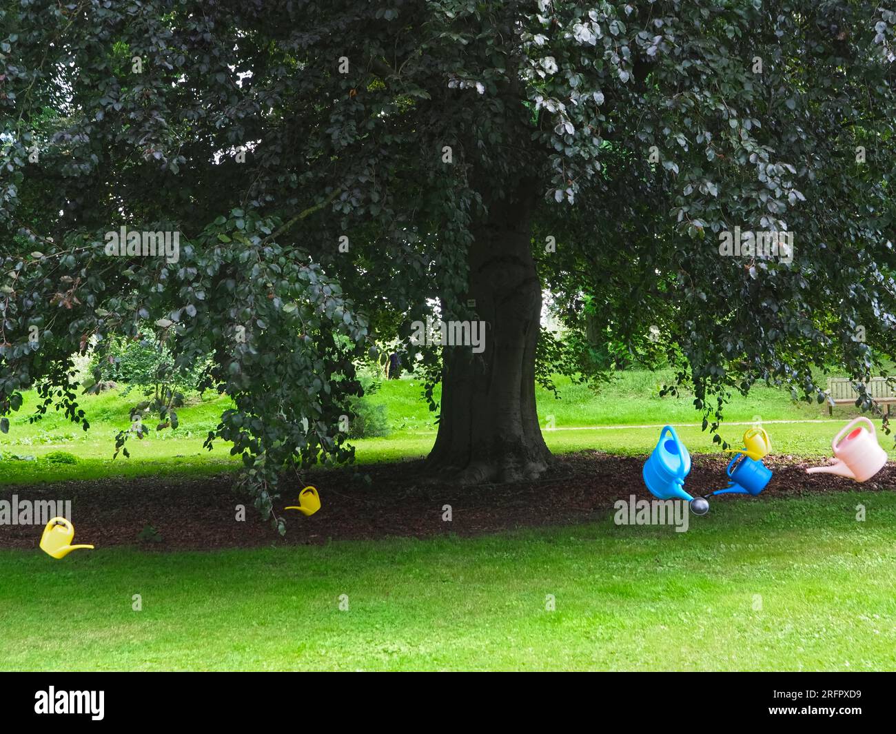 watering cans hang from a tree over a lawn to symbolize the scarcity of ...
