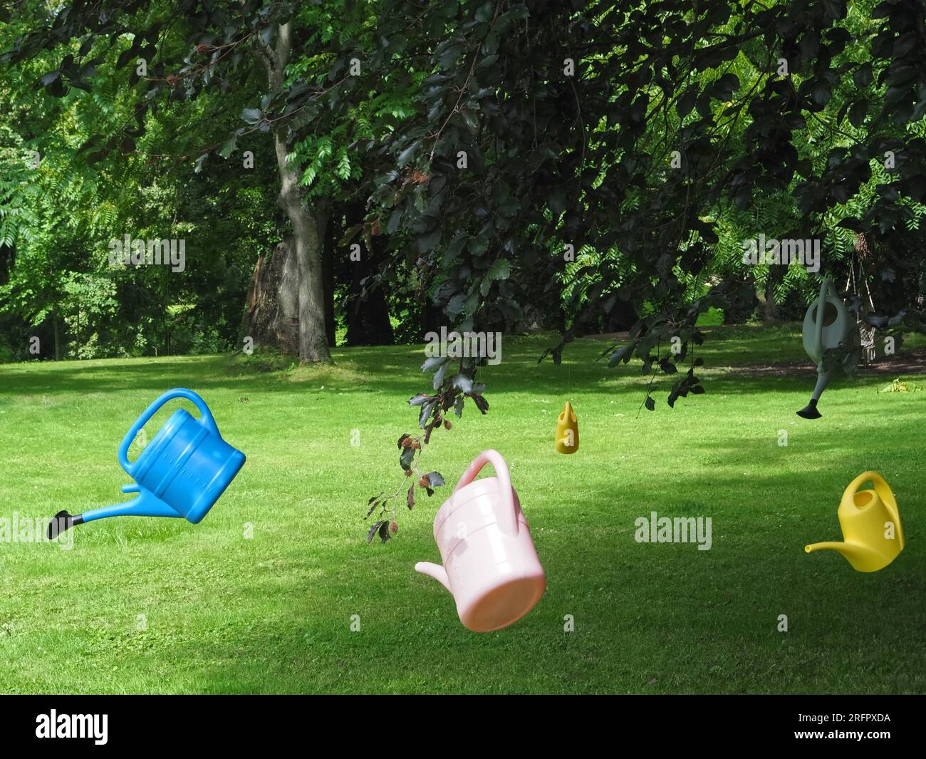 watering cans hang from a tree over a lawn to symbolize the scarcity of ...