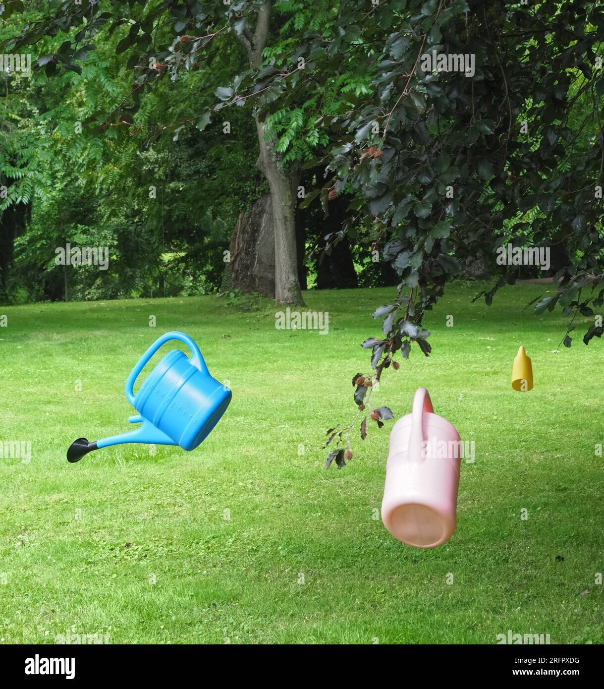 watering cans hang from a tree over a lawn to symbolize the scarcity of ...