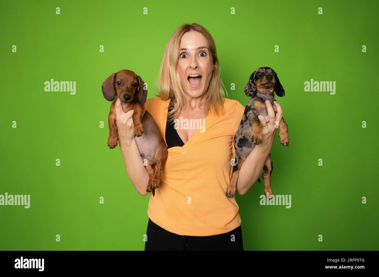 A beautiful blonde young woman hugs her Teckel puppies. Love between ...