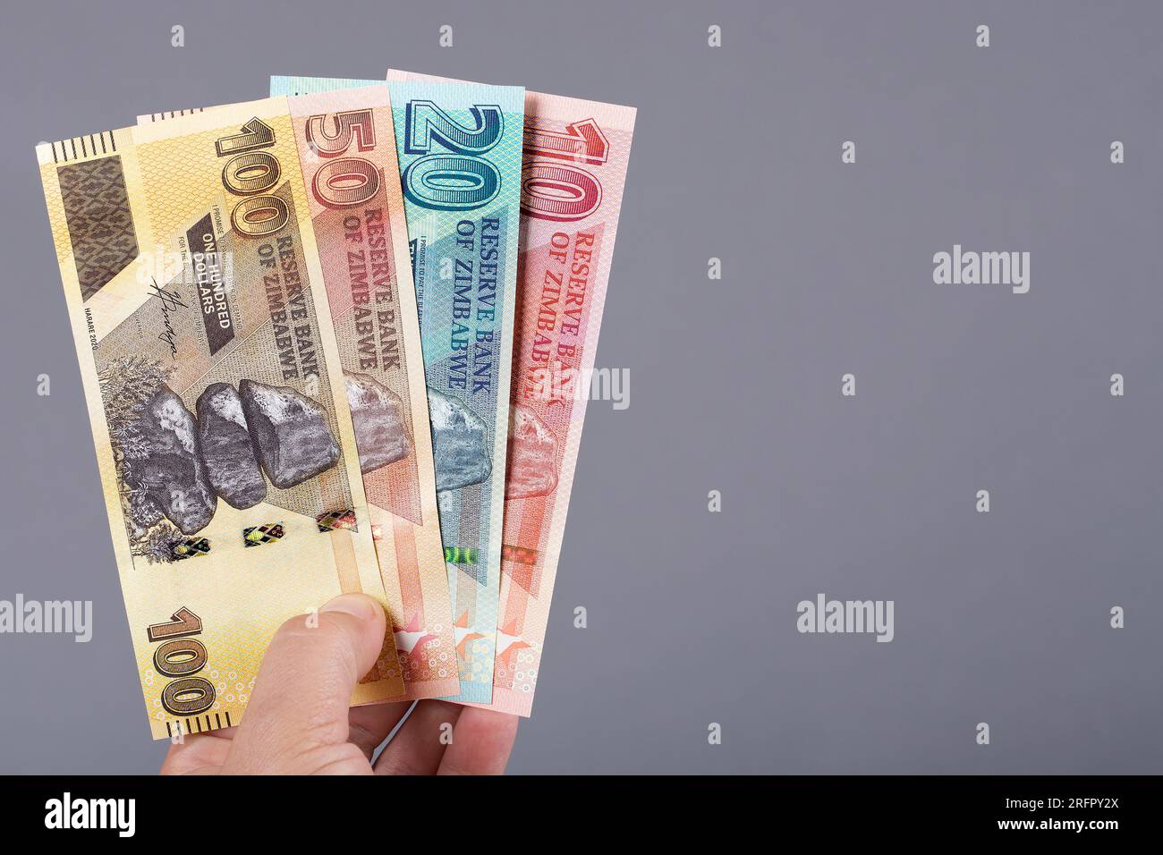 Zimbabwean money - dollar in the hand on a gray background Stock Photo ...