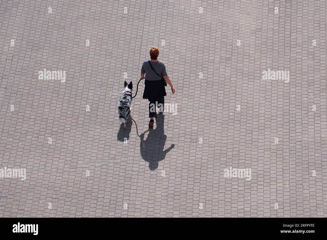 pedestrian walking around on the street in Bilbao city, Basque country ...