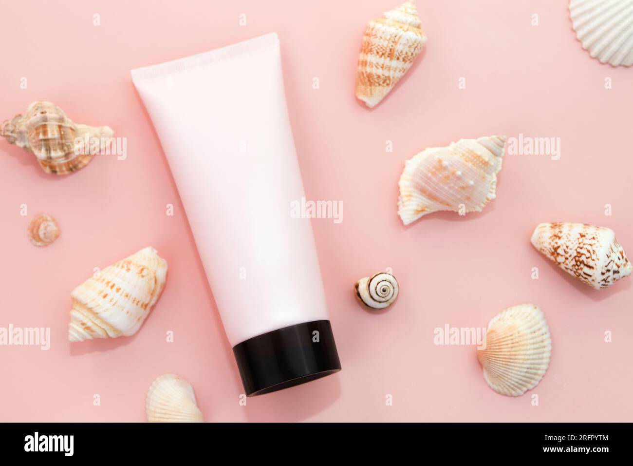 Set sea shells close hi-res stock photography and images - Alamy