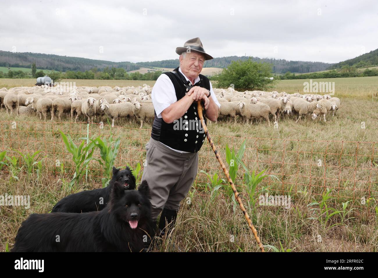 Hohenfelden, Germany. 05th Aug, 2023. Shepherd Klaus Dieter Knoll from ...