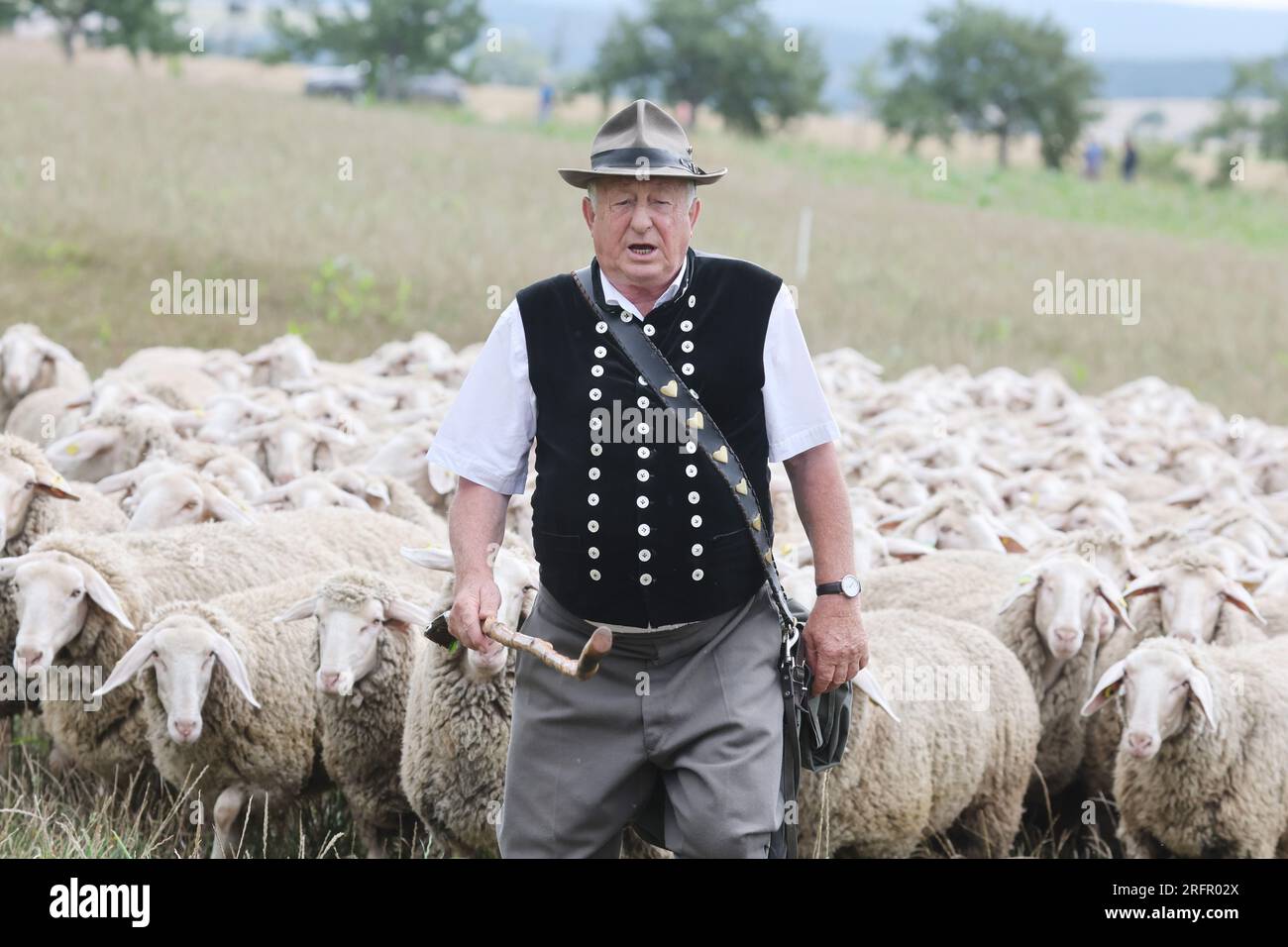 Hohenfelden, Germany. 05th Aug, 2023. Shepherd Klaus Dieter Knoll from ...
