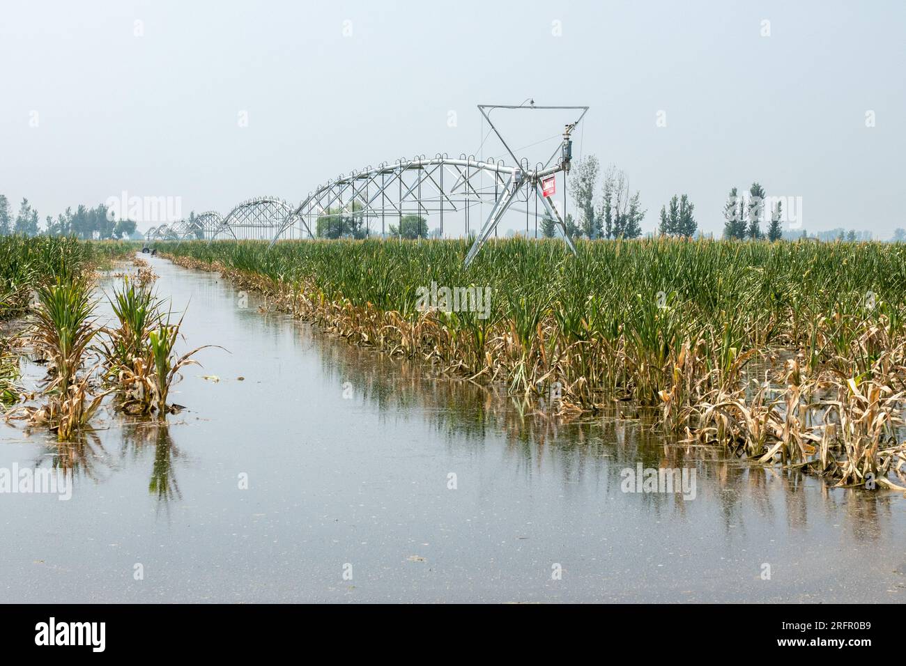 Xinxiang city hi-res stock photography and images - Alamy