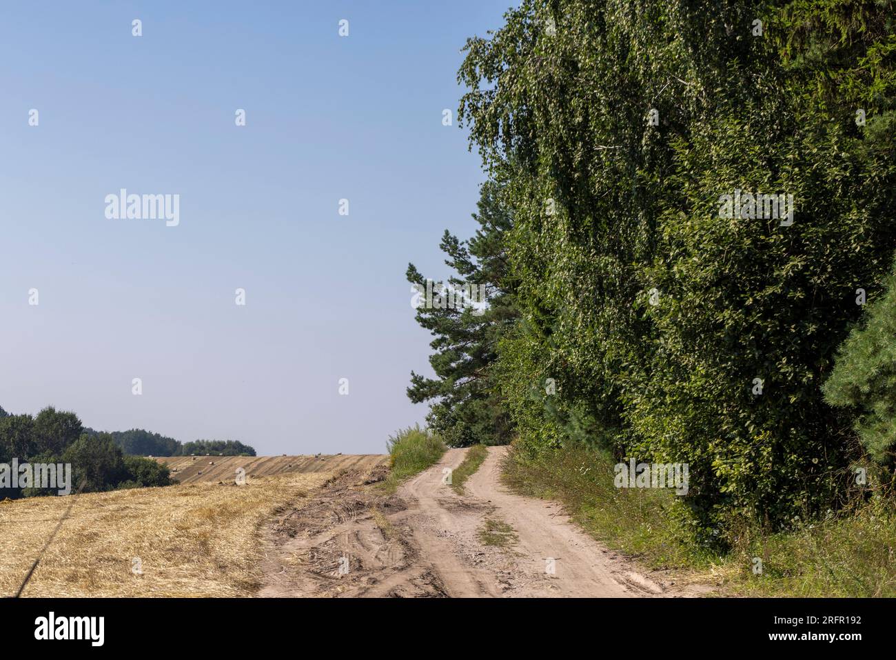 Rural areas with beautiful scenic trees hi-res stock photography and ...