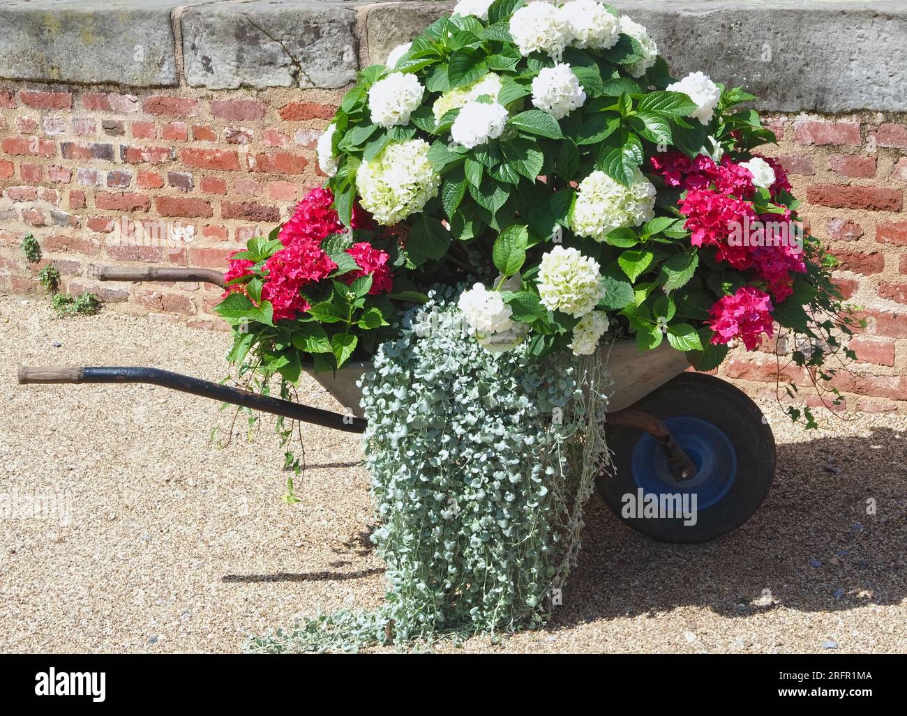 Wheelbarrow of flowers hi-res stock photography and images - Alamy