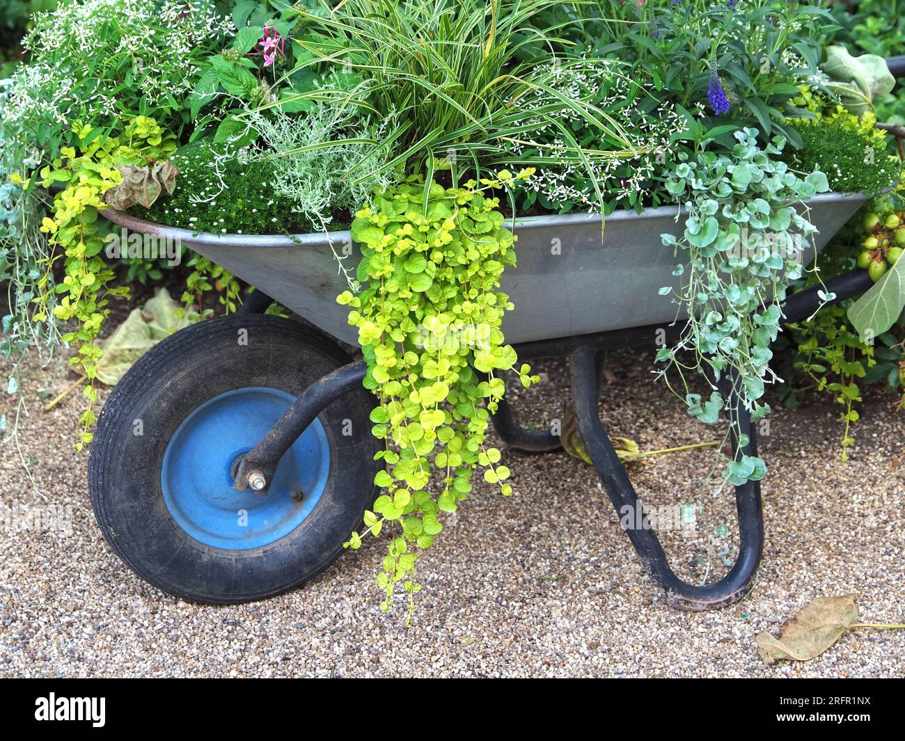 Silver wheelbarrow hi-res stock photography and images - Alamy