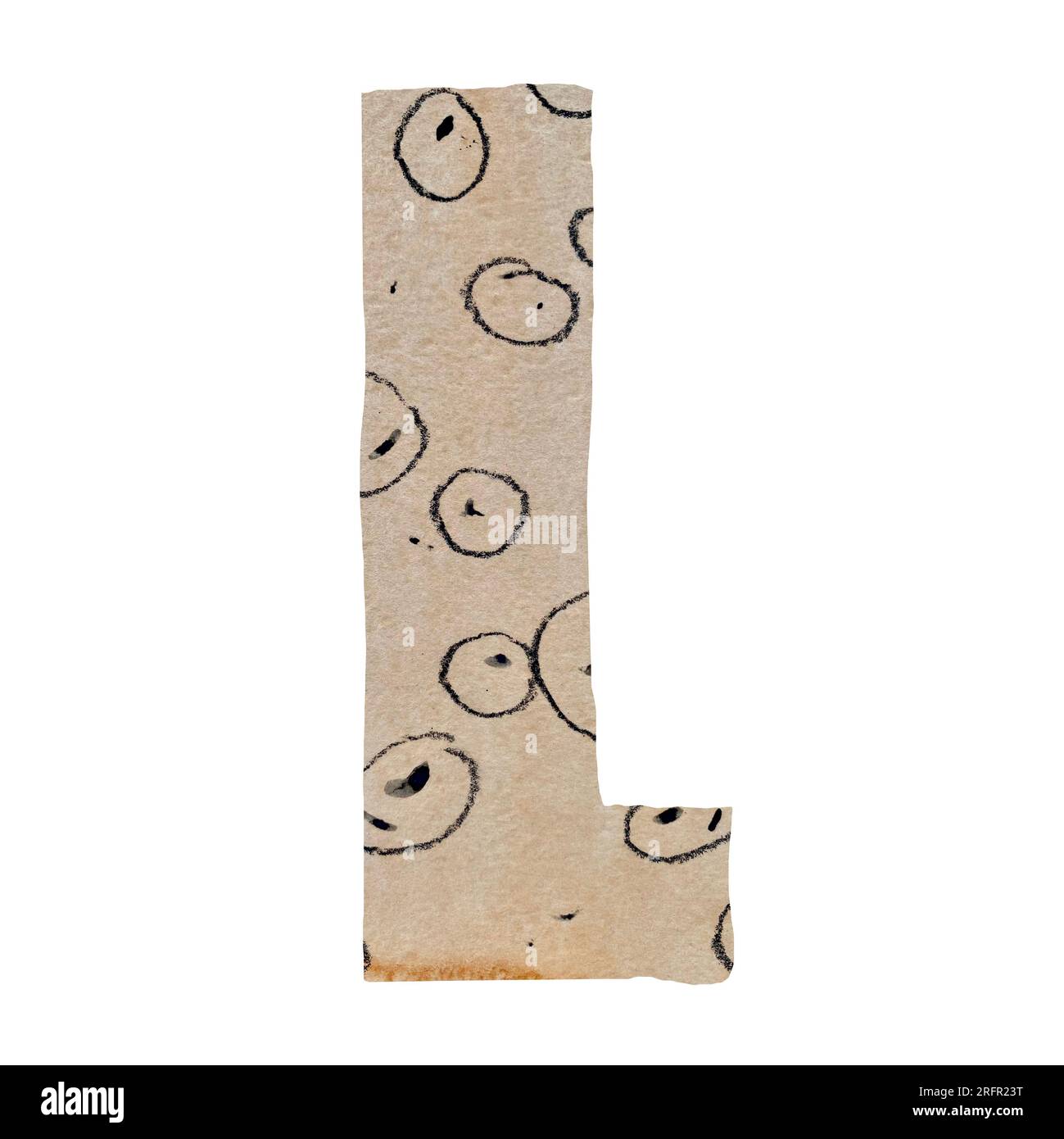 Capital letter L cut out paper alphabet Stock Photo - Alamy