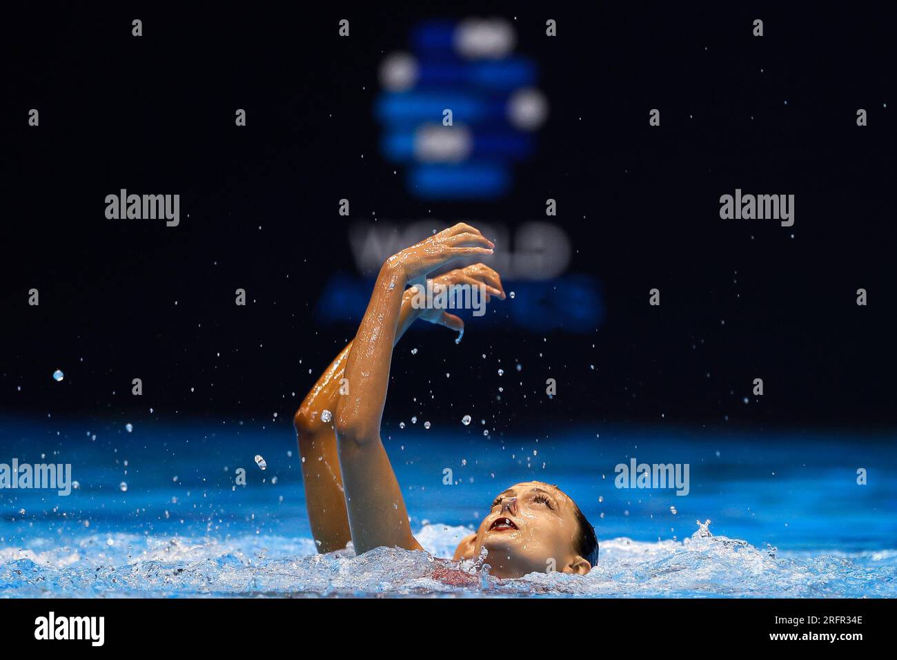 Megumi field hi-res stock photography and images - Alamy