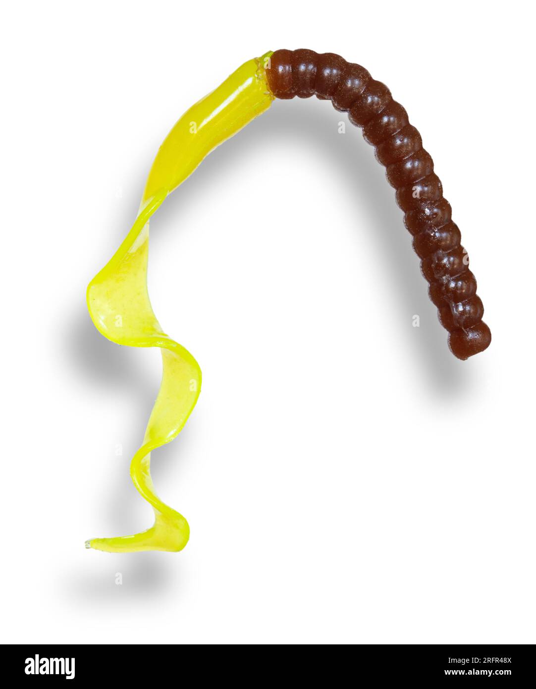 Silicone tail hi-res stock photography and images - Alamy