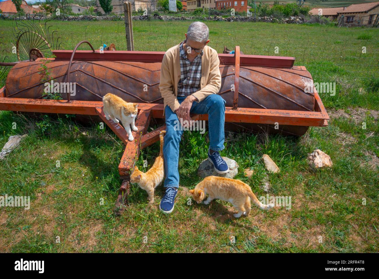 Amor de los animales hi-res stock photography and images - Alamy