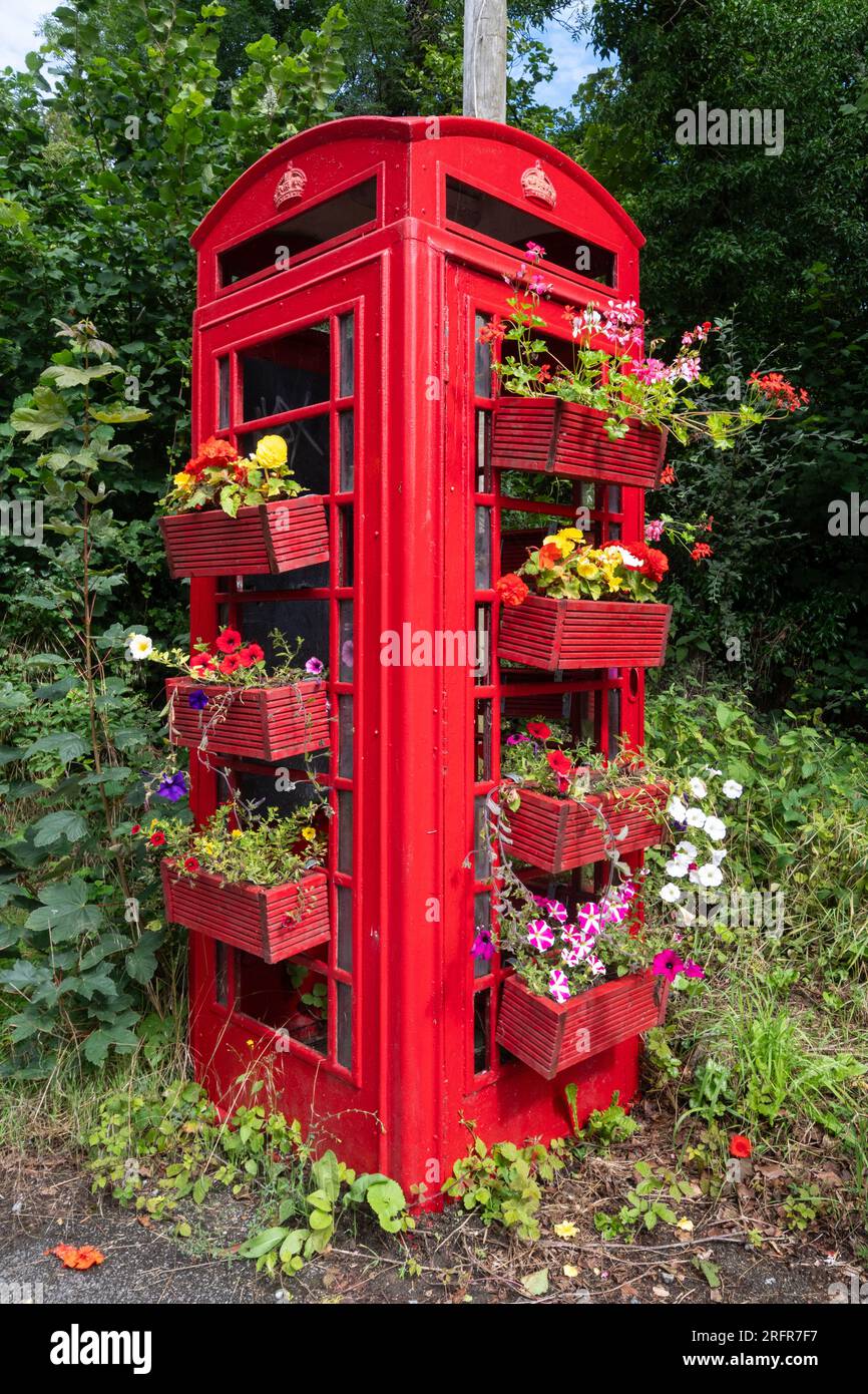 Old red phonebox decorated with colourful flowers during summer, creative way to repurpose phone ...