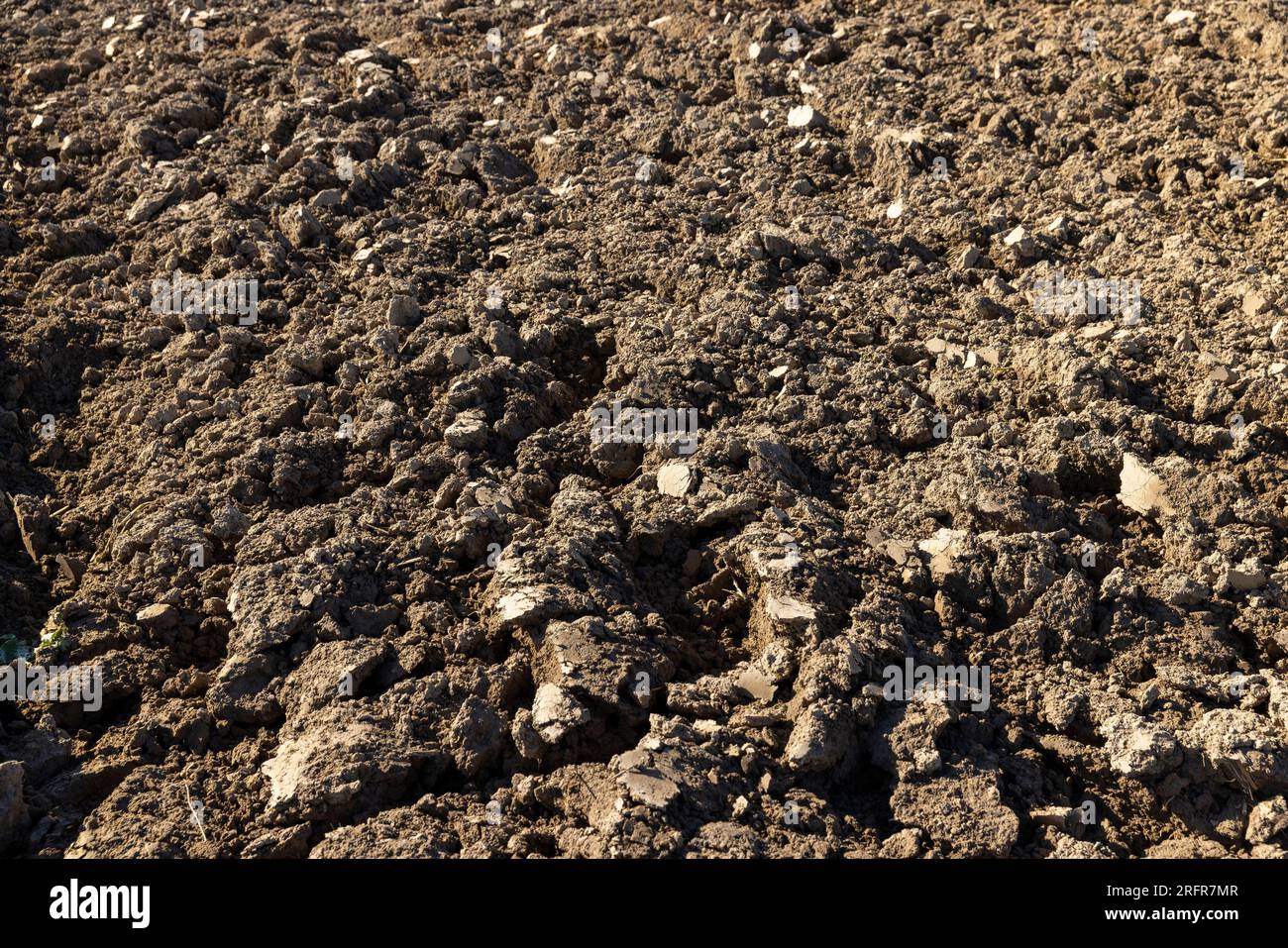 Processed plowed fertile soil in the field, preparation and tillage for ...