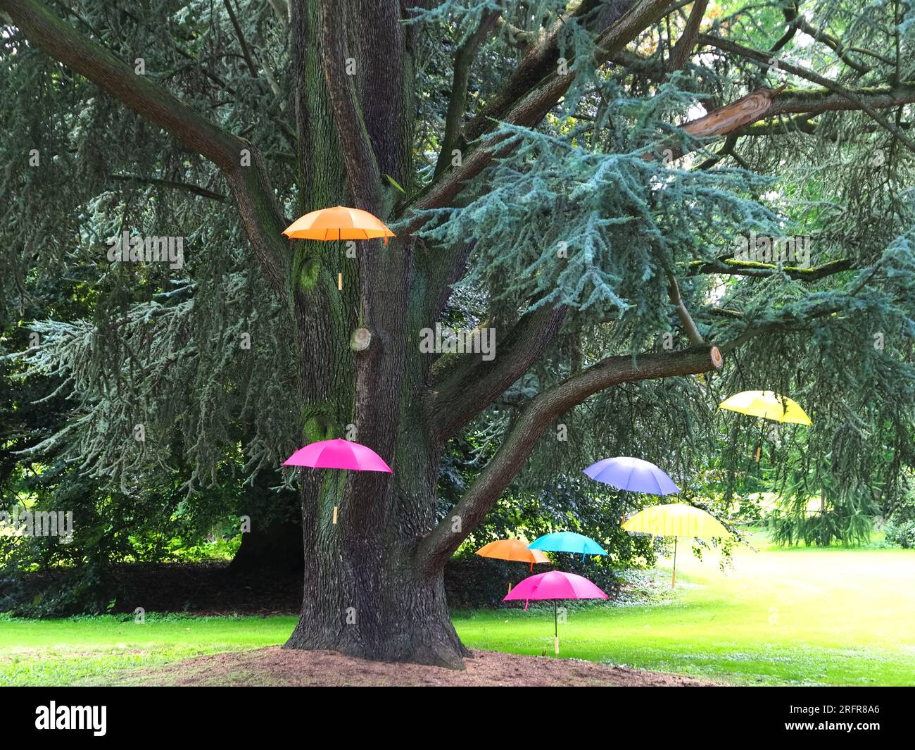 Symbol for climate protection - sun umbrellas hang on a tree Stock ...