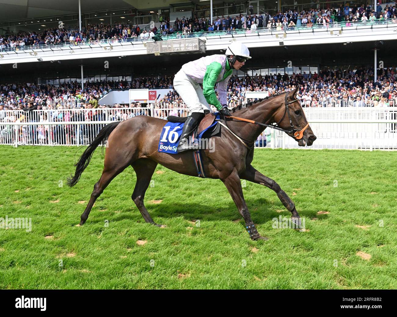 Enfranchise and Danny Gilligan before the Boylesports Maiden Hurdle during day six of the Galway ...