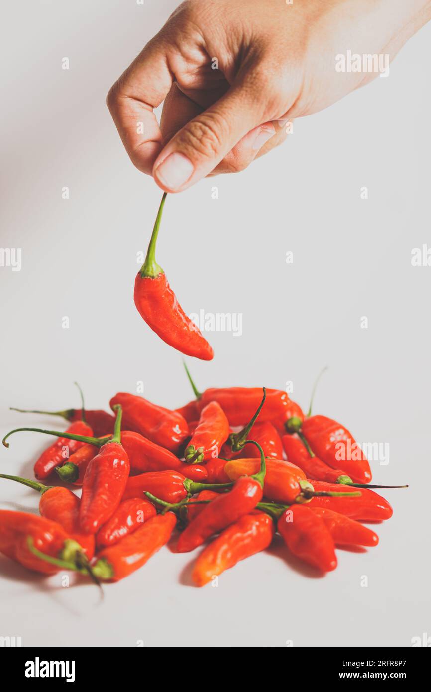 Spicy And Strong; Health Benefits Of Red Chilli Stock Photo - Alamy