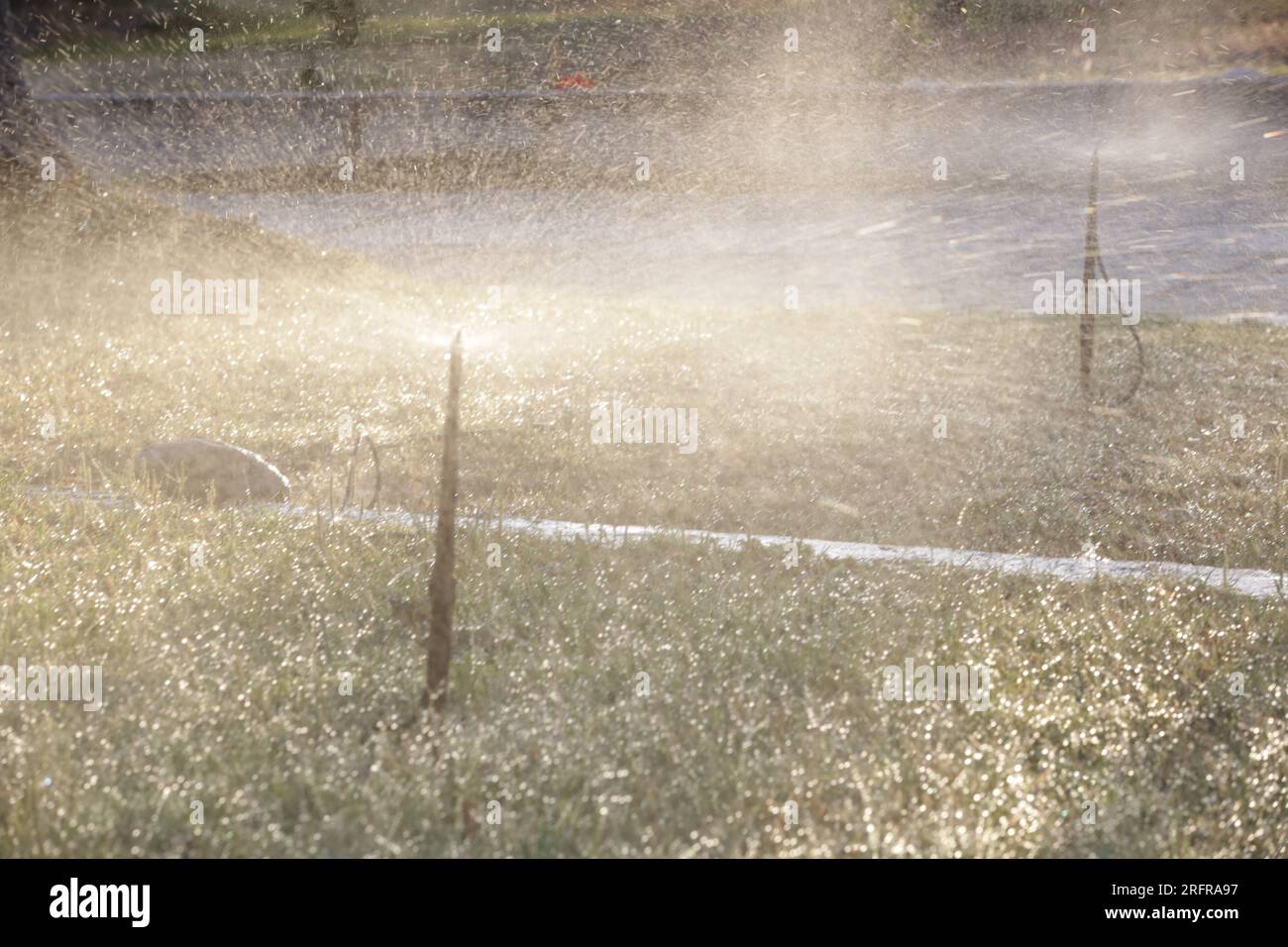 Automatic lawn sprinkler watering green grass. Garden irrigation system ...