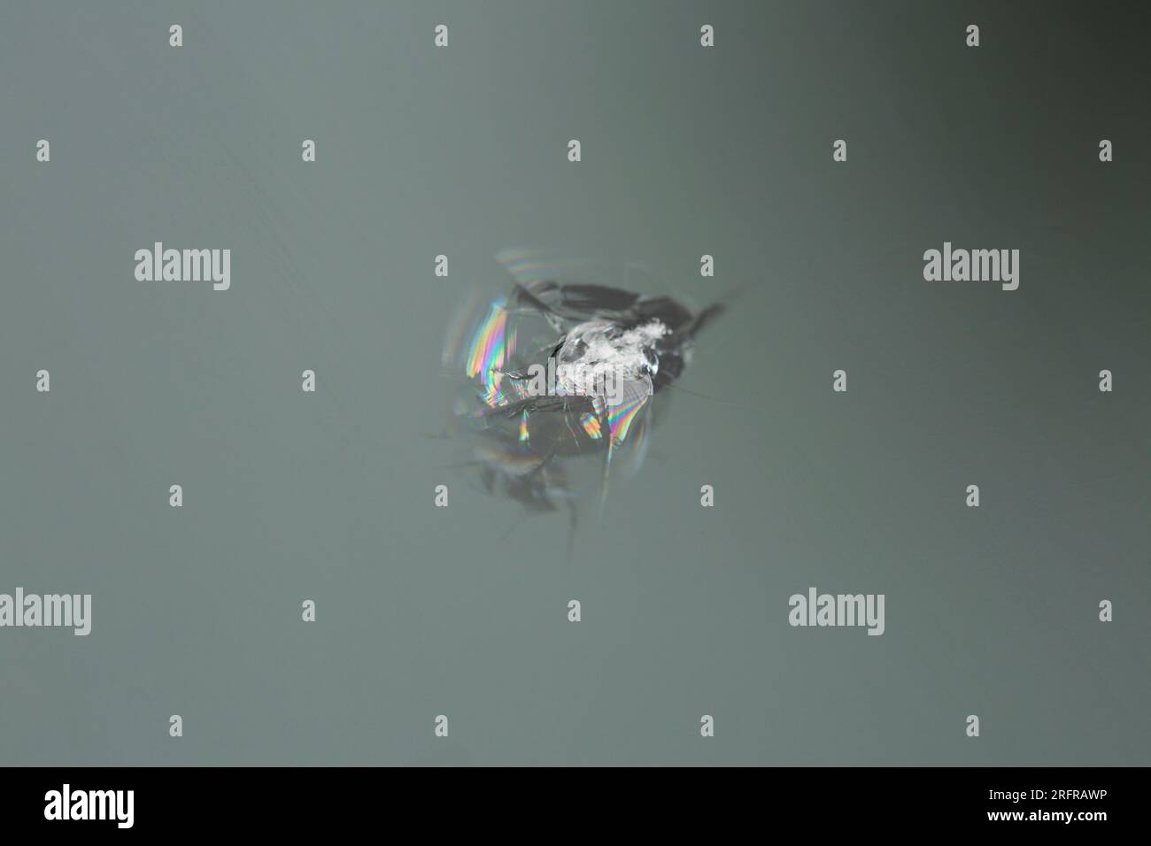 Windscreen car chipped hi-res stock photography and images - Alamy