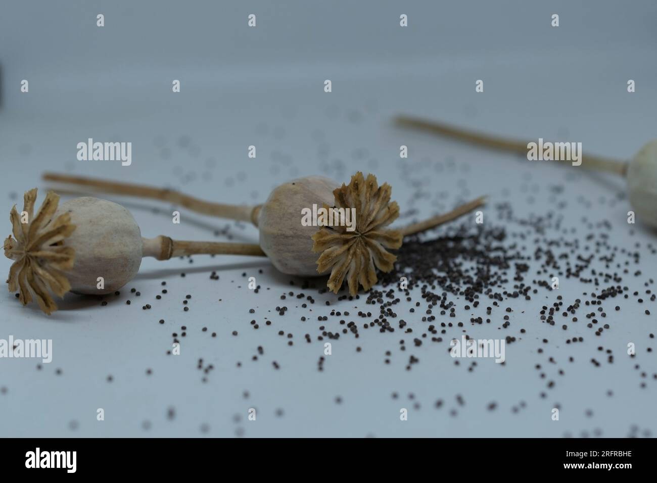Heap whole poppy seeds hi-res stock photography and images - Alamy