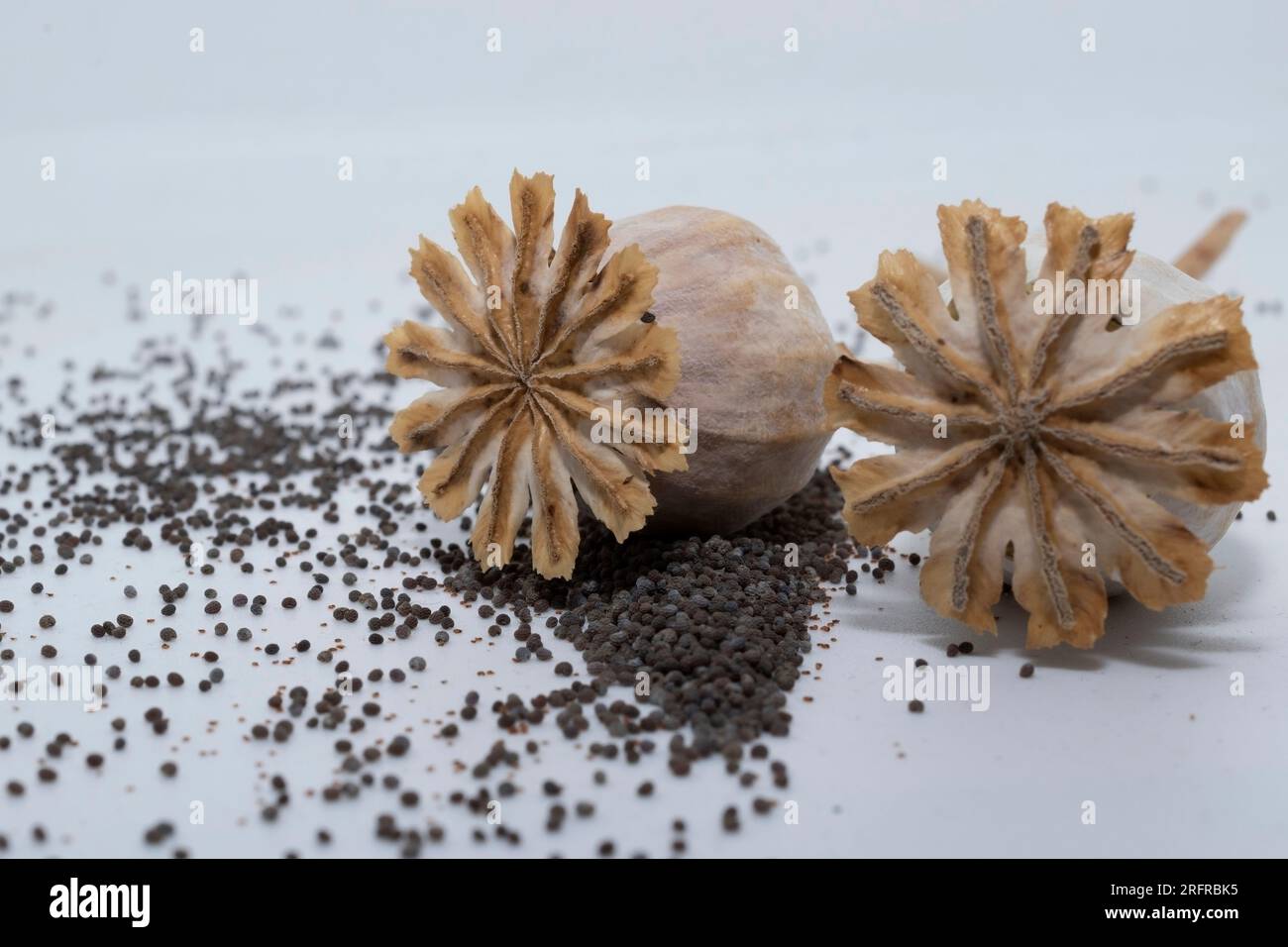Heap whole poppy seeds hi-res stock photography and images - Alamy