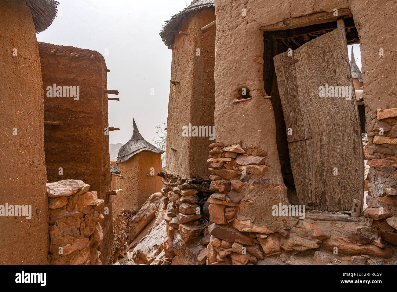 Dogon village and typical mud buildings, buildings used as barns for ...