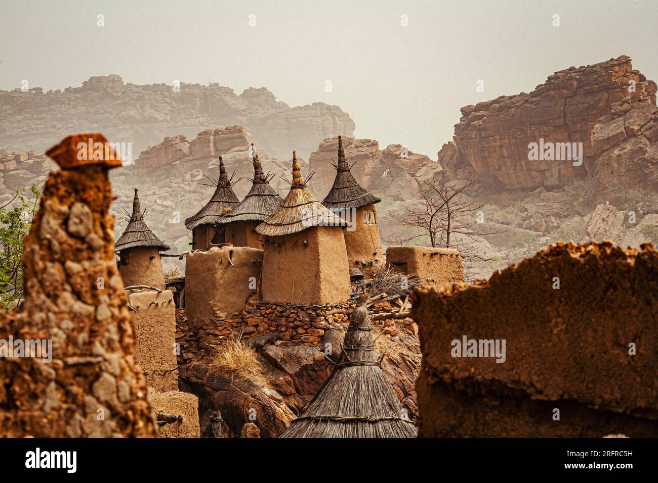 Dogon village and typical mud buildings, buildings used as barns for ...