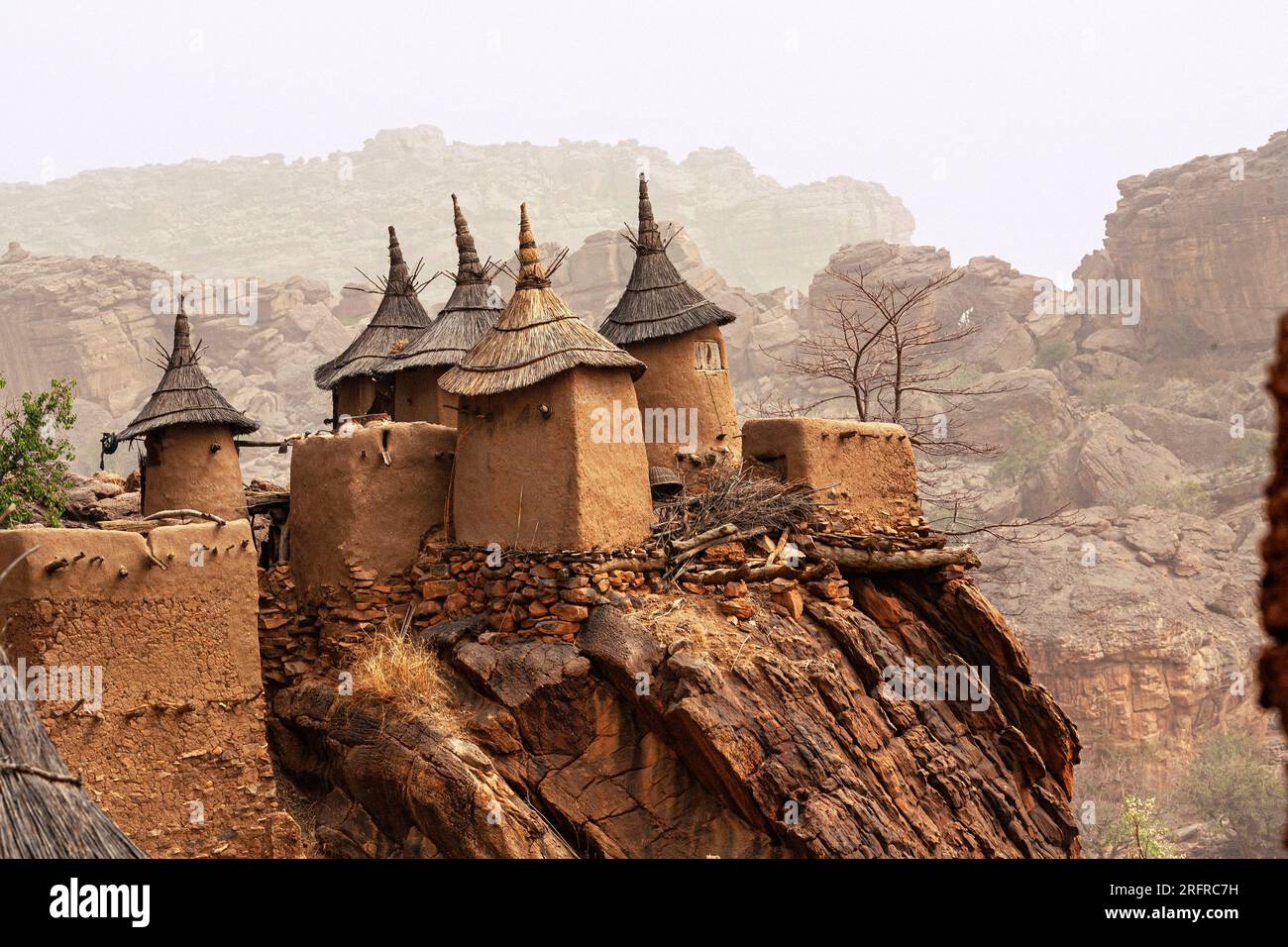 Dogon village and typical mud buildings, buildings used as barns for ...