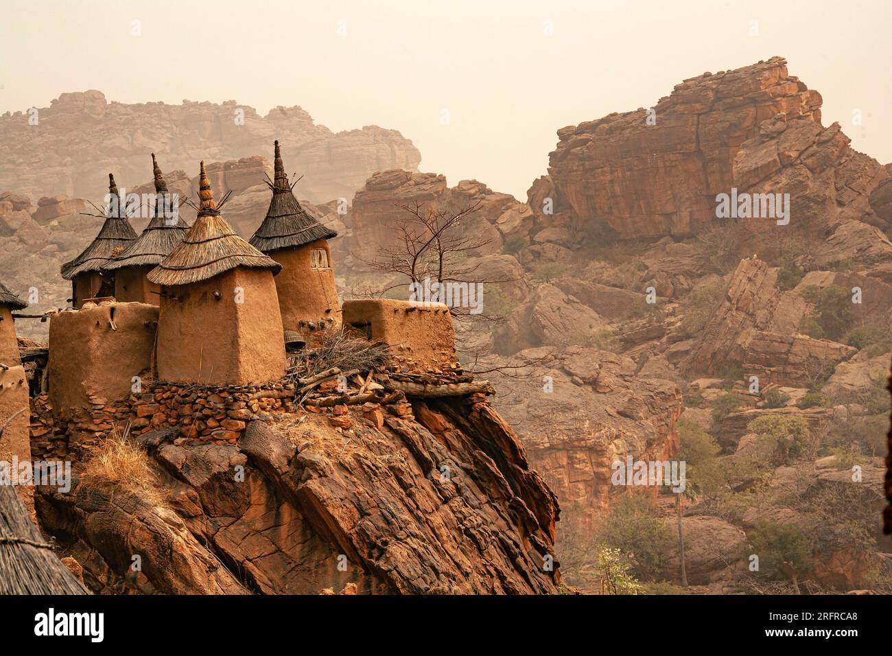 Dogon village and typical mud buildings, buildings used as barns for ...