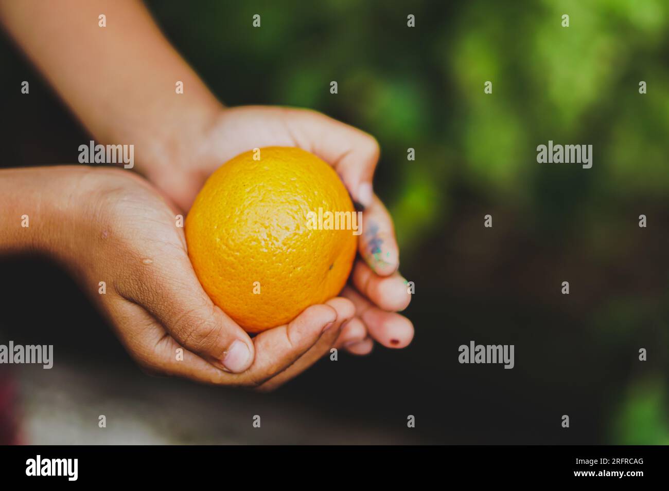 Boy holding mandarin fruit hi-res stock photography and images - Alamy