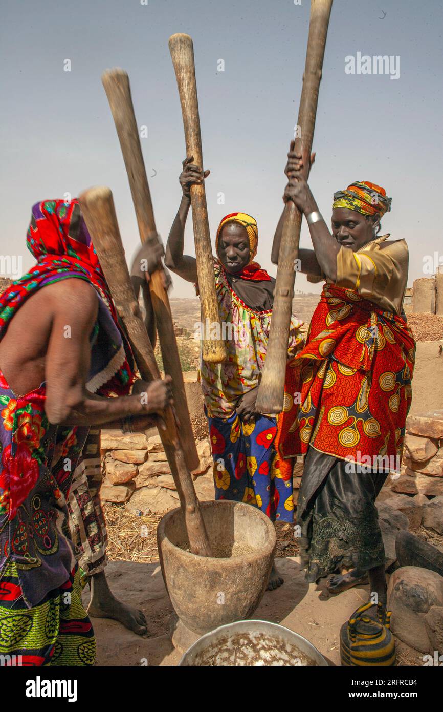 Dogon women pound millet in the village Teli, Dogon country, Mali, West ...