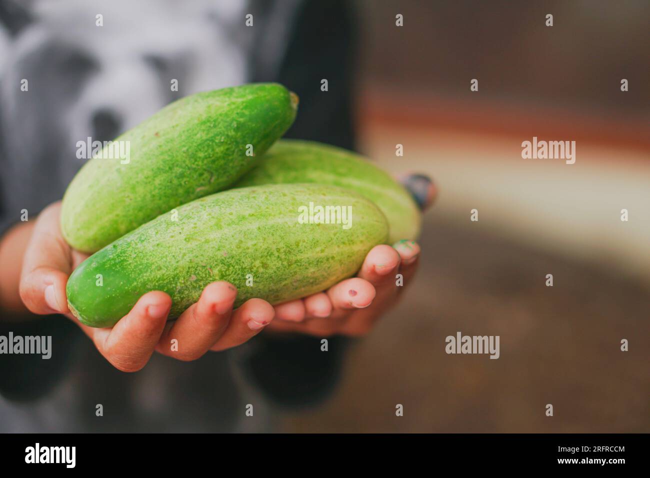 Hands gardener holding bunch hi-res stock photography and images - Alamy