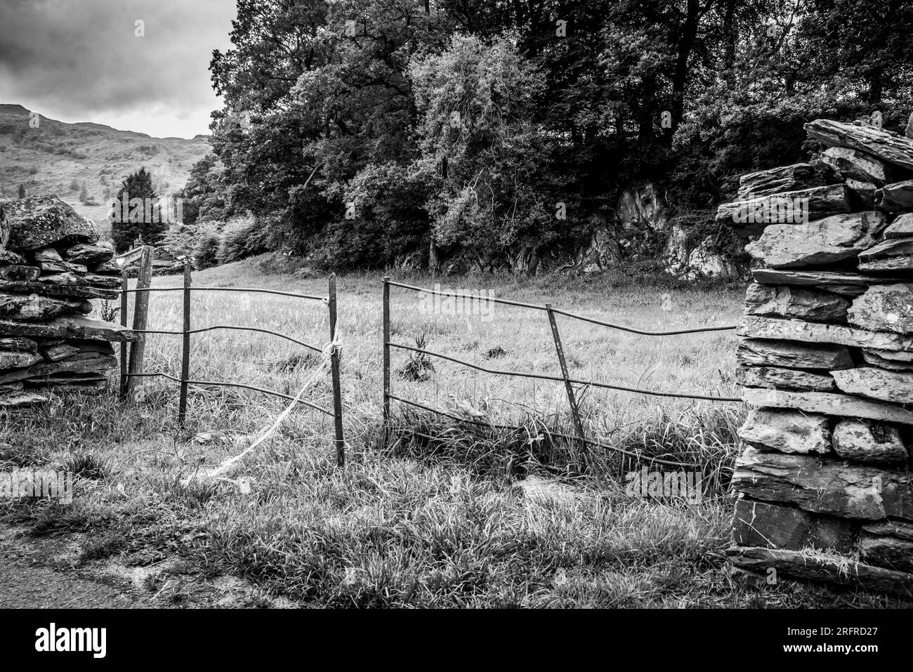 English dry stone walling Black and White Stock Photos & Images - Alamy