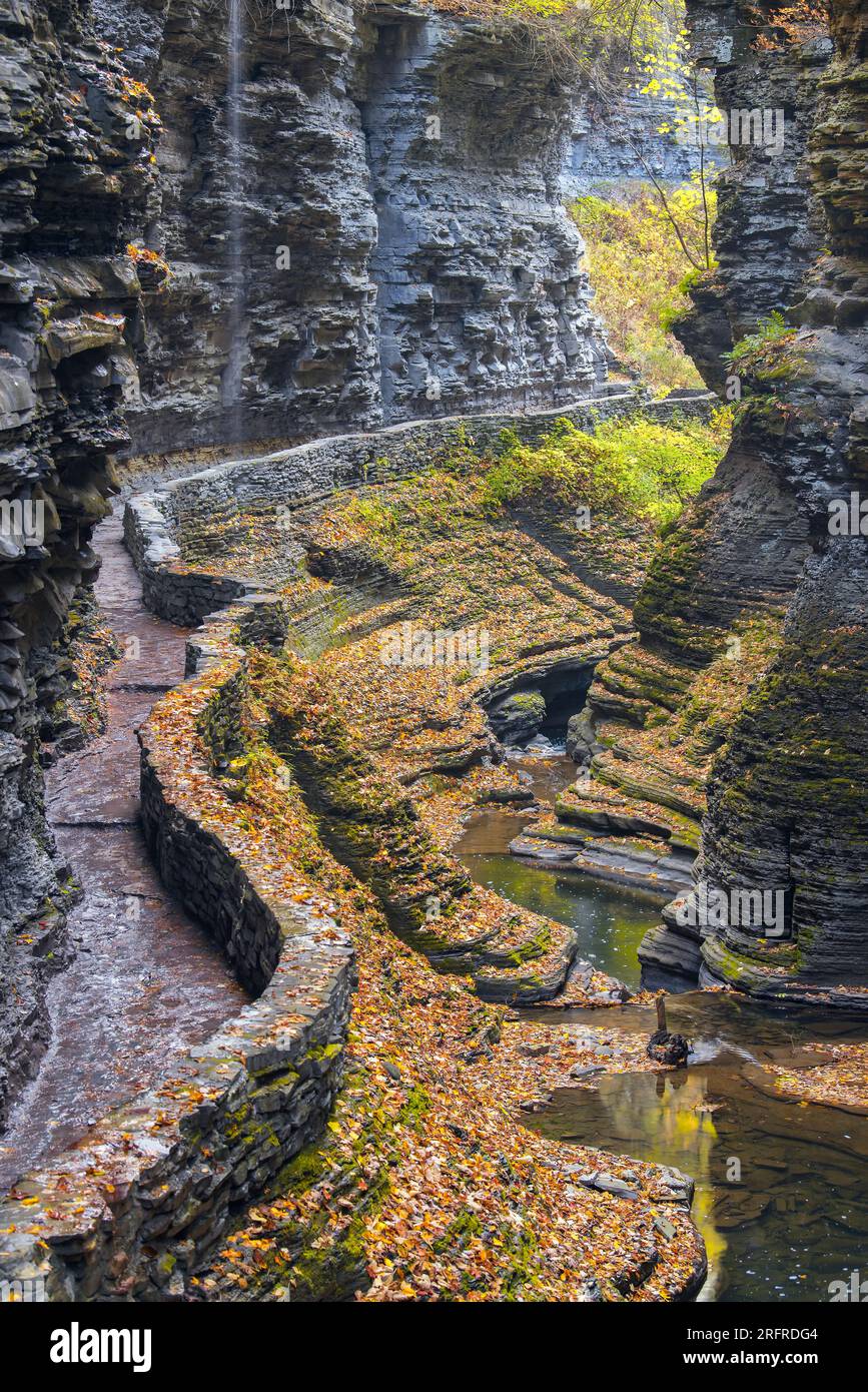 A walkway along a brook flowing through a ravine within watkins glen ...