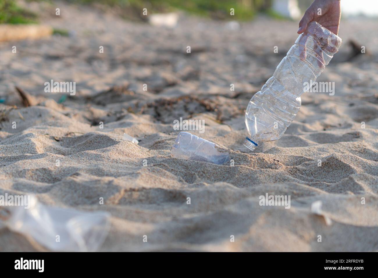 Volunteer picking plastic bottle clean up day, collecting waste on sea ...