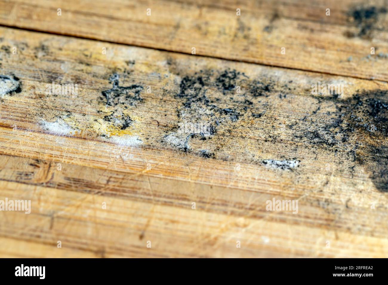 Old Bamboo Wooden Surface Covered with mold and fungus , Old Rotting ...