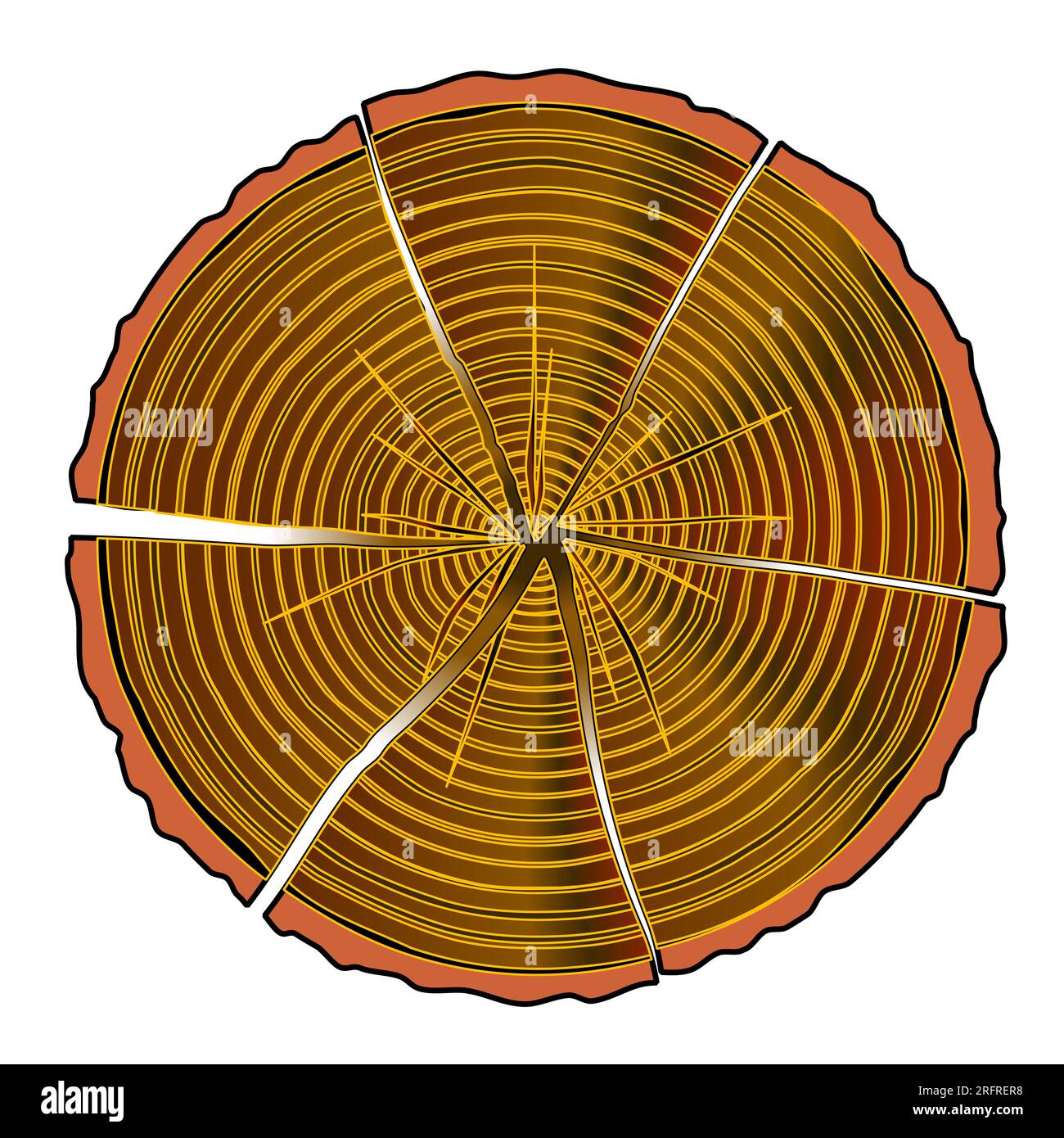 A split logr end section over a white background Stock Photo - Alamy