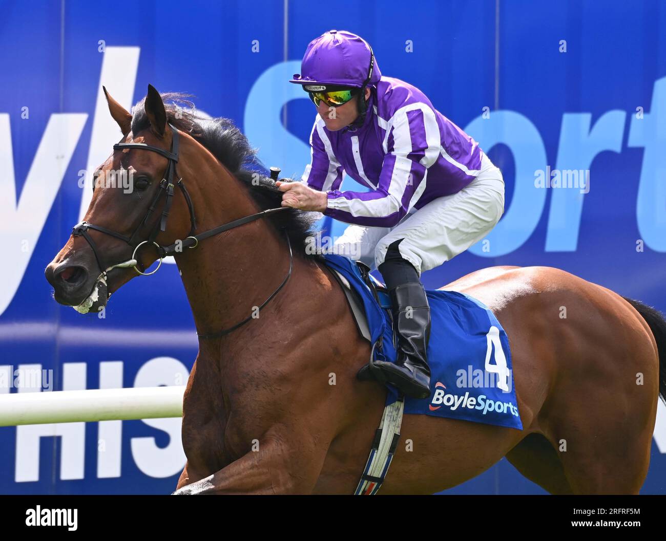Galway races boylesports hi-res stock photography and images - Alamy